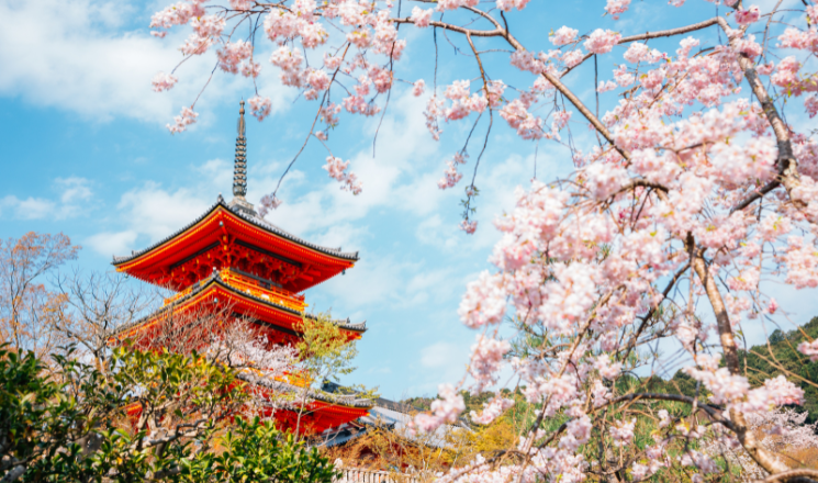 Wandering Through Kyoto: A Solo Traveler’s Guide to Japan’s Cultural ...